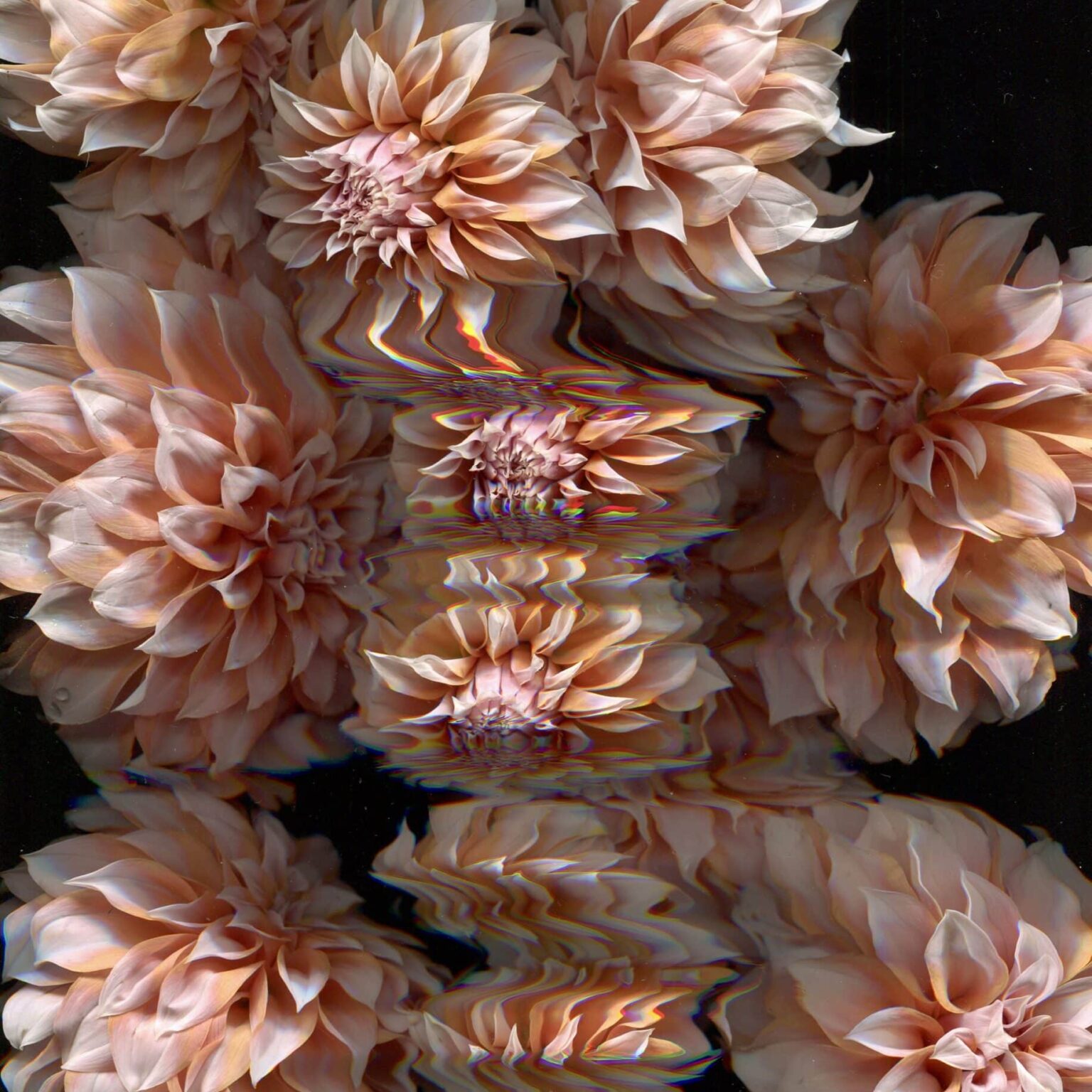 Allison Sabrie | Expression Gardener